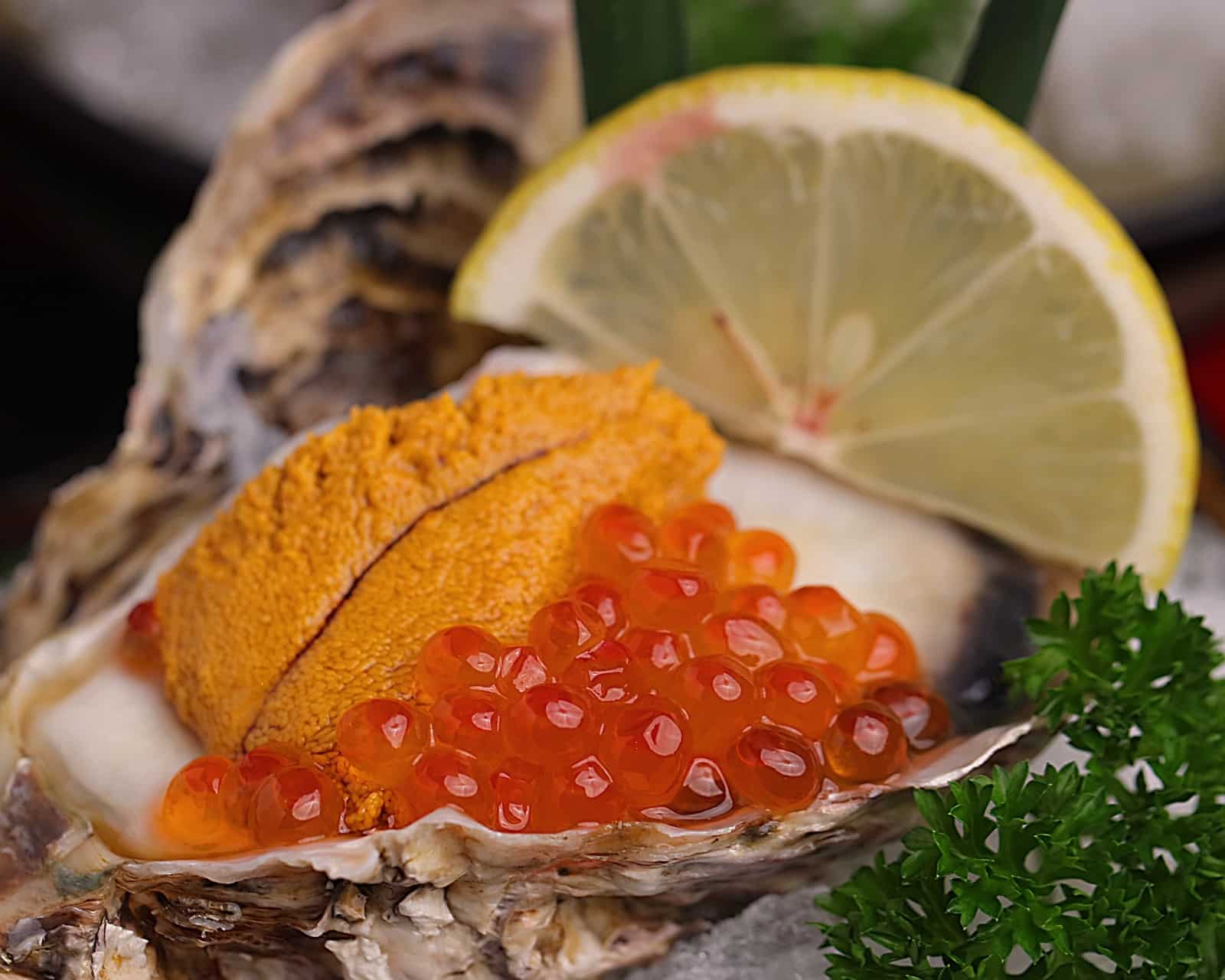 Uni Gallery Closes After 7 Successful Years - In Chef Mode